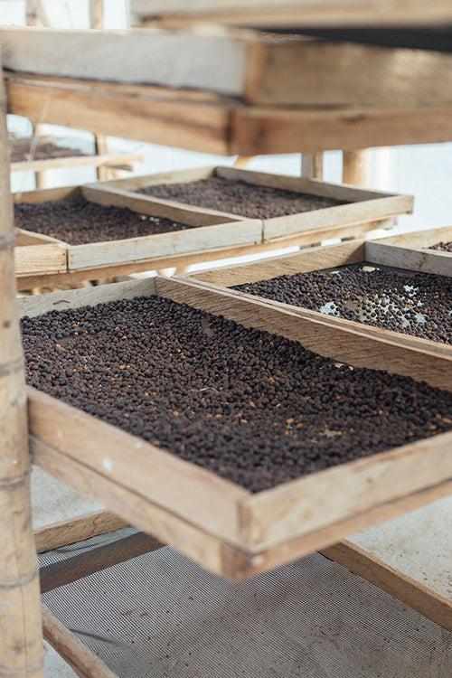 Colombia, Andres Cardona